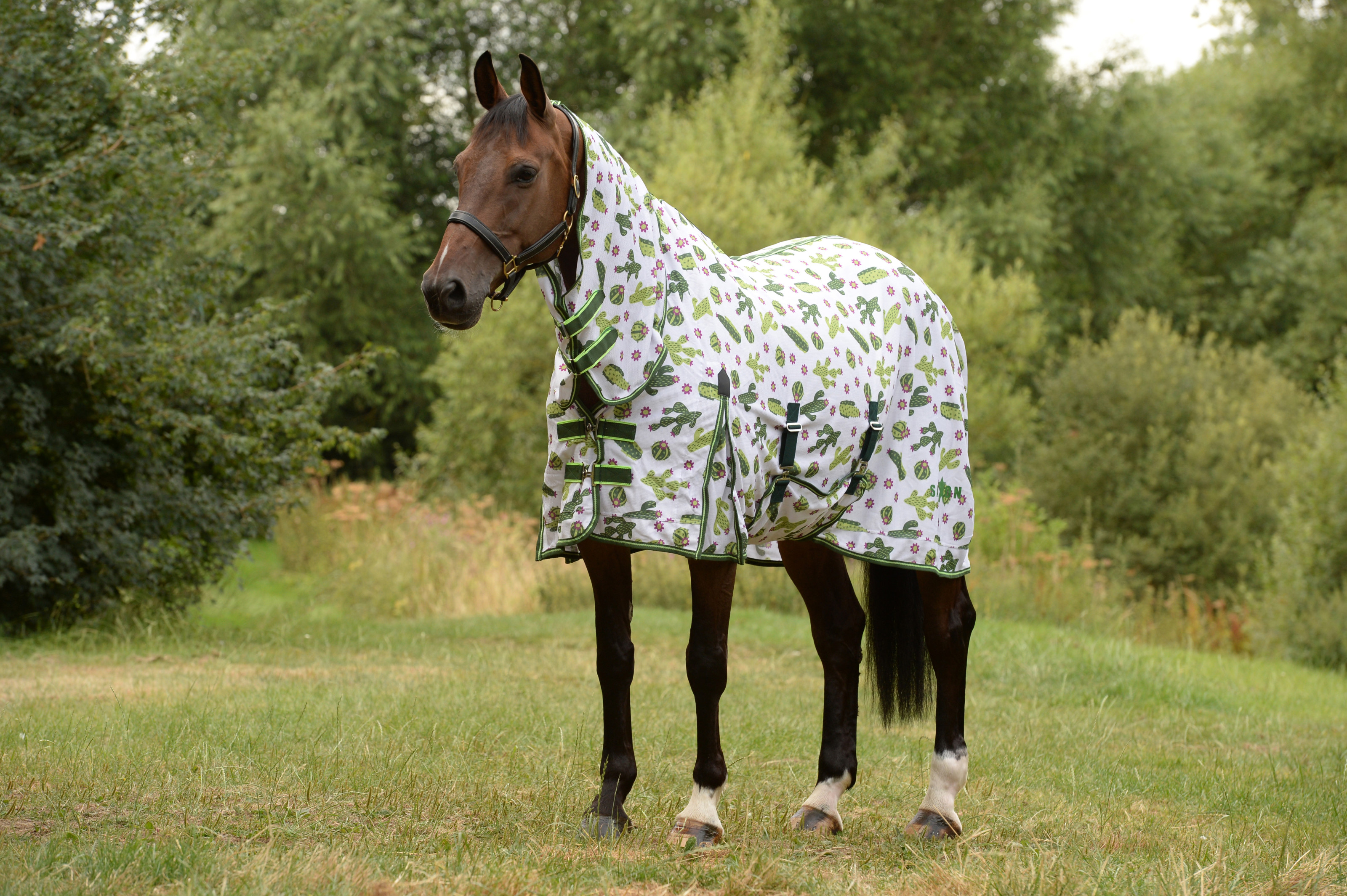 Saxon Mesh Sheet with Belly Wrap and Combo Neck - Cactus Print - Saxon ...